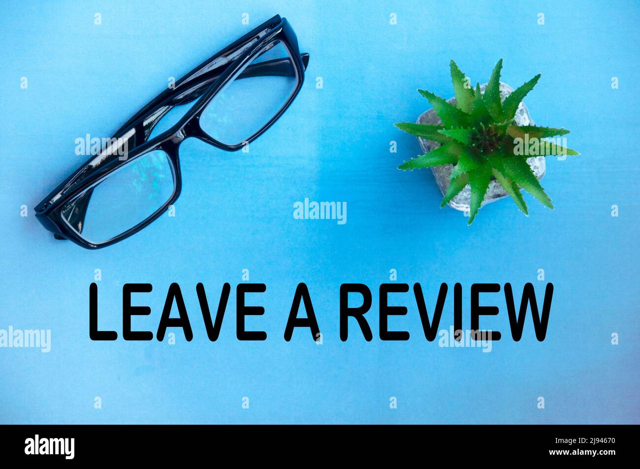 Leave a review text on light blue cover with potted plant and glasses ...
