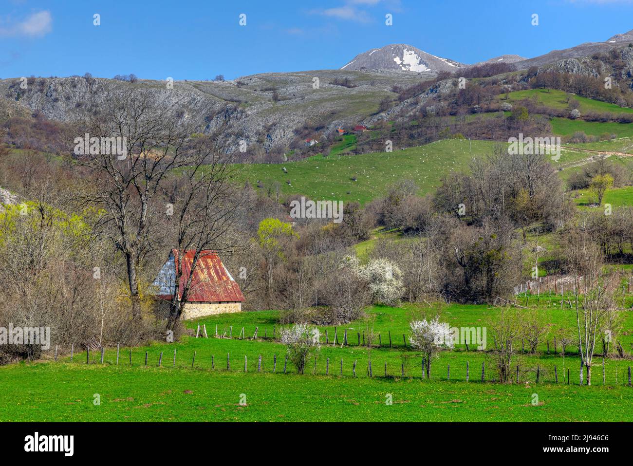 Bjelimici hi-res stock photography and images - Alamy
