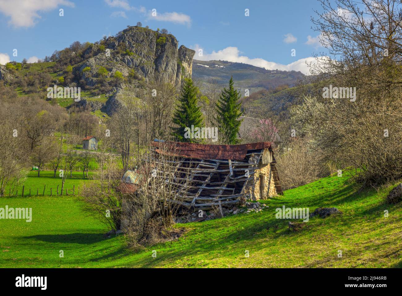 Bjelimici hi-res stock photography and images - Alamy