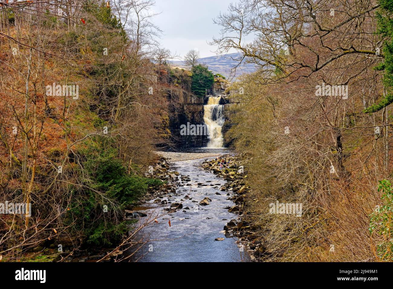 The River Tees flows over High Force waterfall then on down a wooded ...