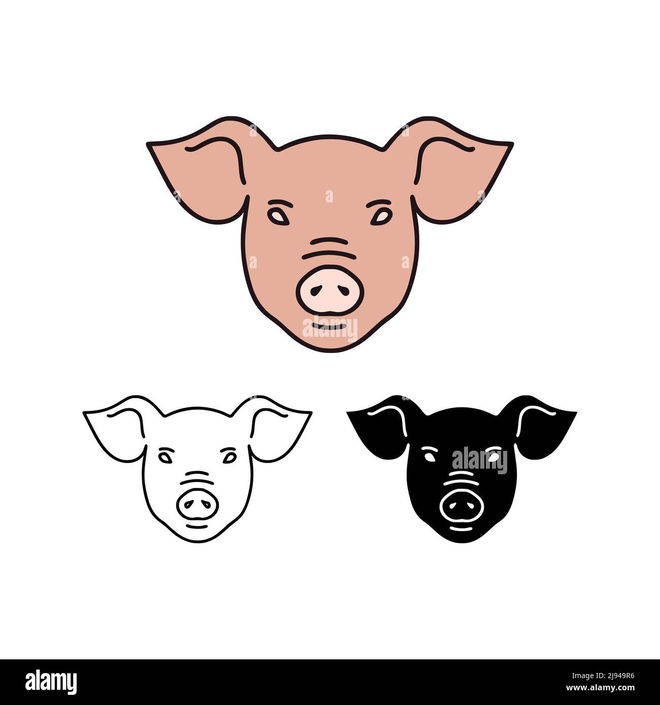 Pig head vector illustration in 3 styles isolated on white background ...