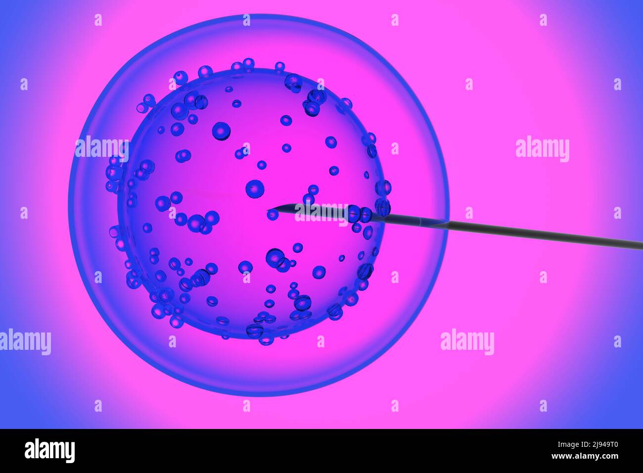 Artificial Insemination Syringe Penetrating The Cell On A Red