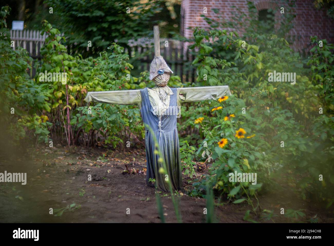 Scarecrow flowers hi-res stock photography and images - Alamy