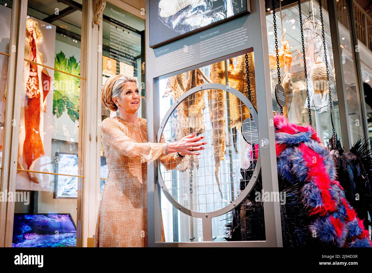 Amsterdam, Niederlande. 10th May, 2022. AMSTERDAM - Queen Maxima of The ...