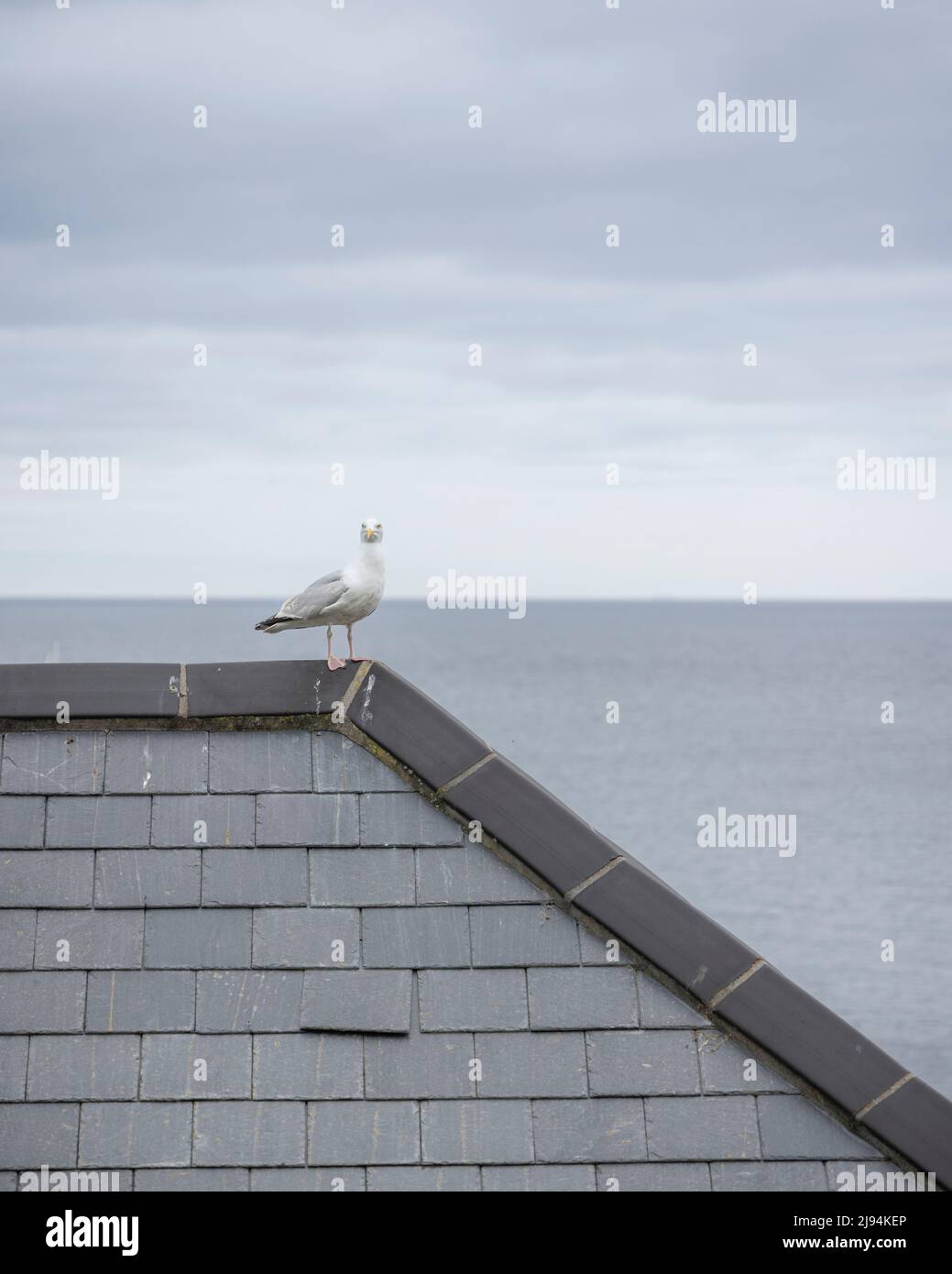 Coverack on the Lizard peninsular in Cornwall. Picture date: Friday May ...