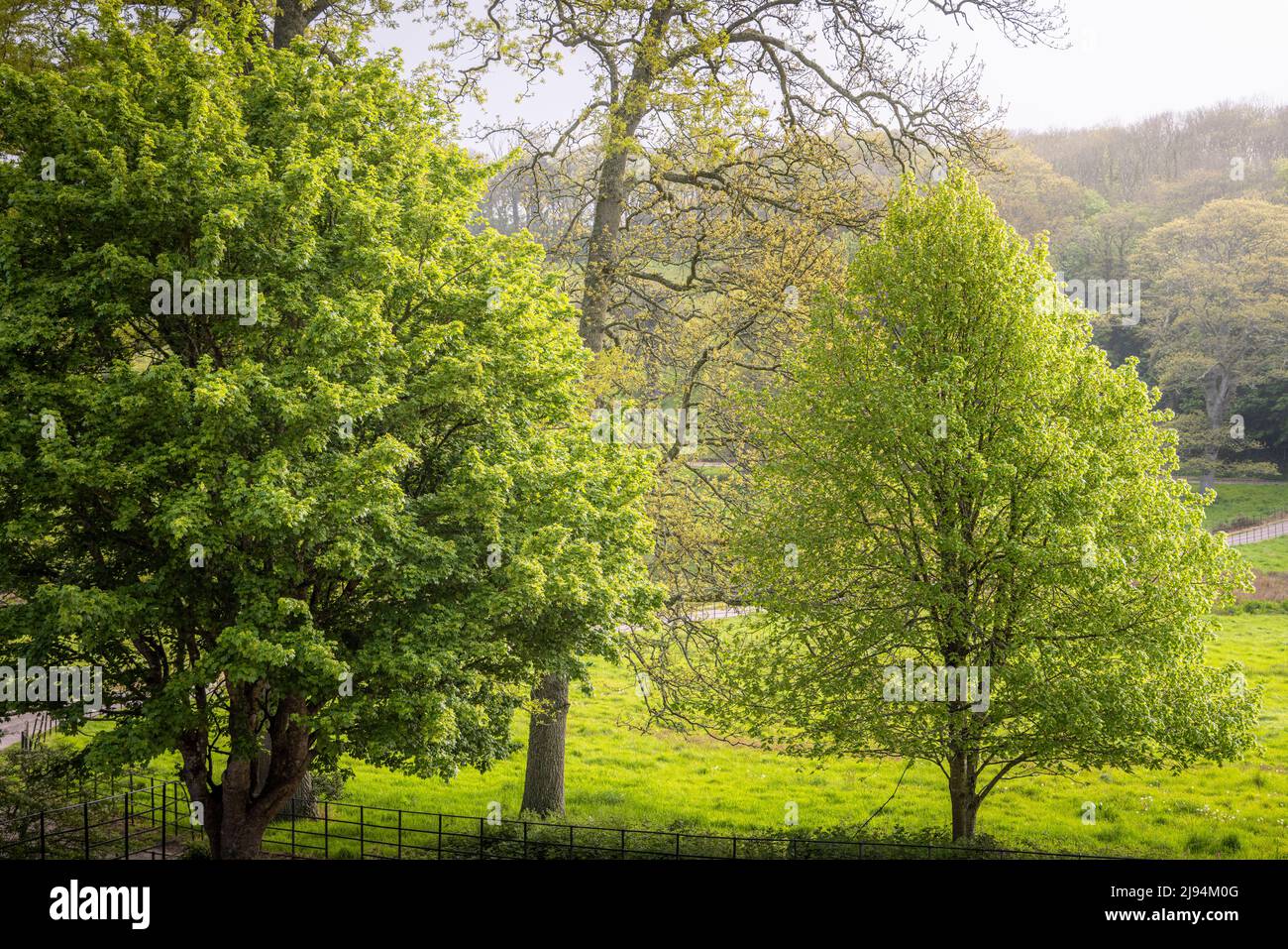 Penrose near Helston in Cornwall. Picture date: Thursday May 5, 2022 ...