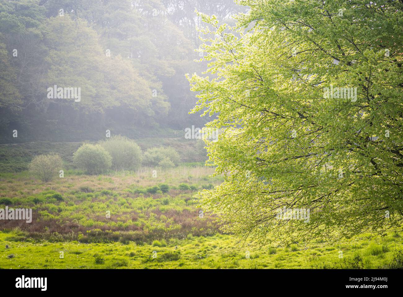 Penrose near Helston in Cornwall. Picture date: Thursday May 5, 2022 ...
