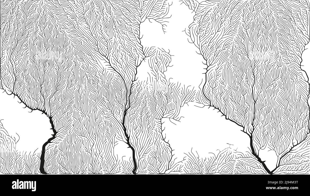 Growth pattern. Generative branching structure. Organic net of vessels ...