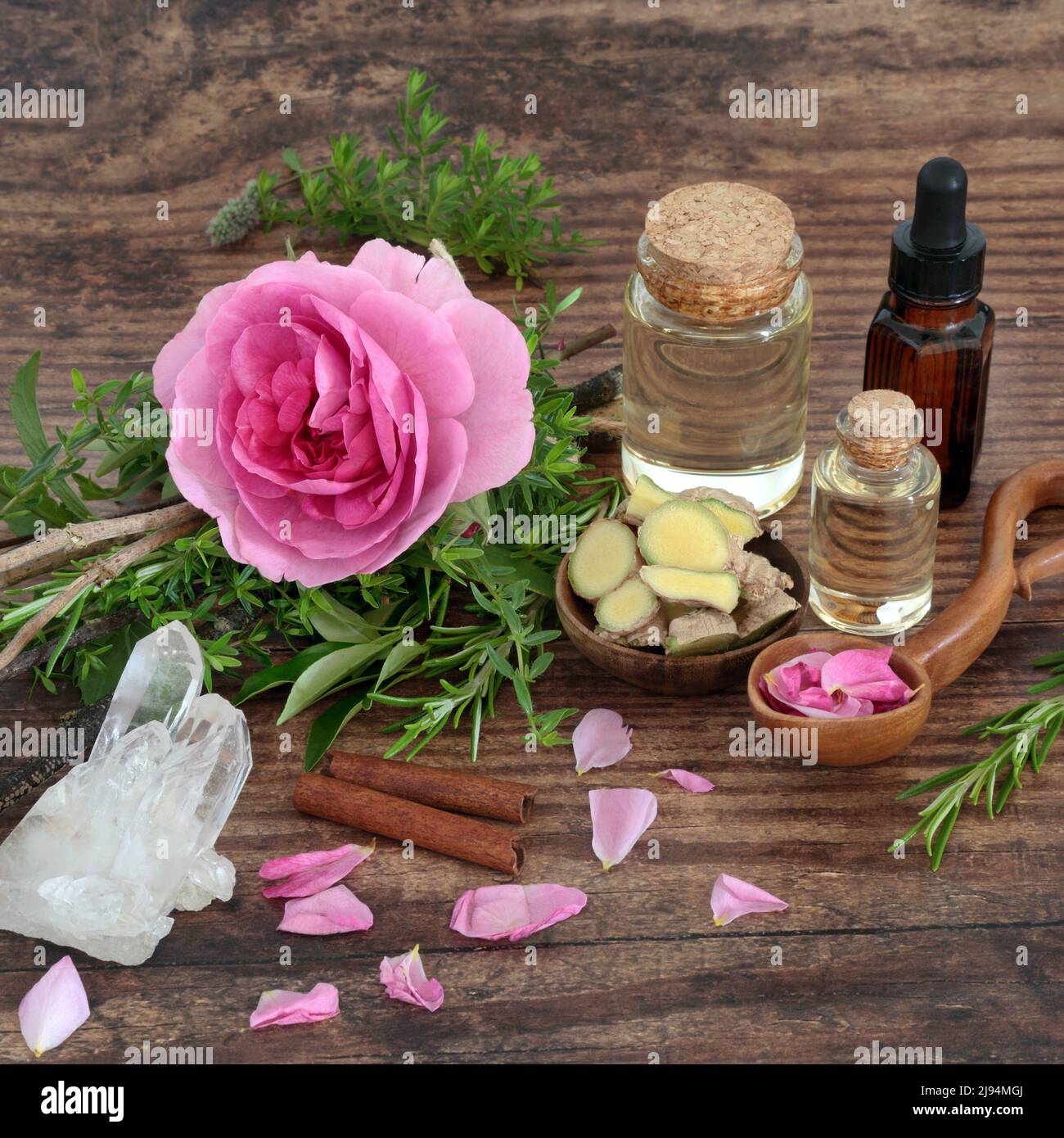 Magic love potion preparation with witches bundle of herbs and rose ...