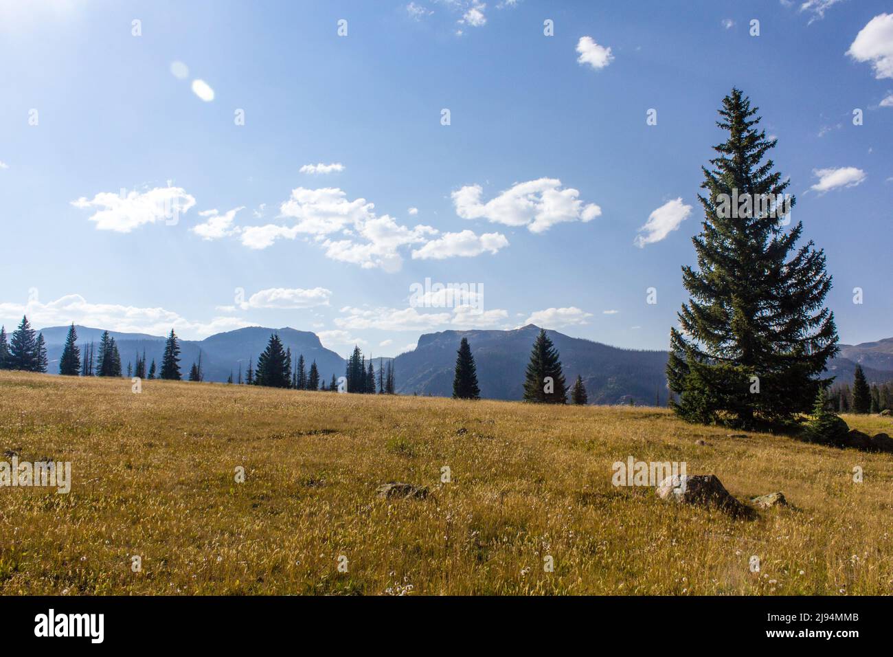 Weminuche wilderness colorado trail hi-res stock photography and images ...