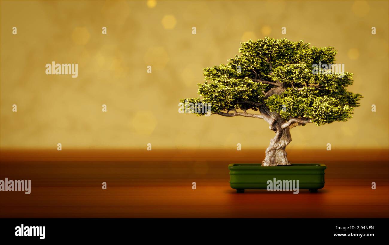 Japanese bonsai tree in dark room with empty place on side - nature 3D ...