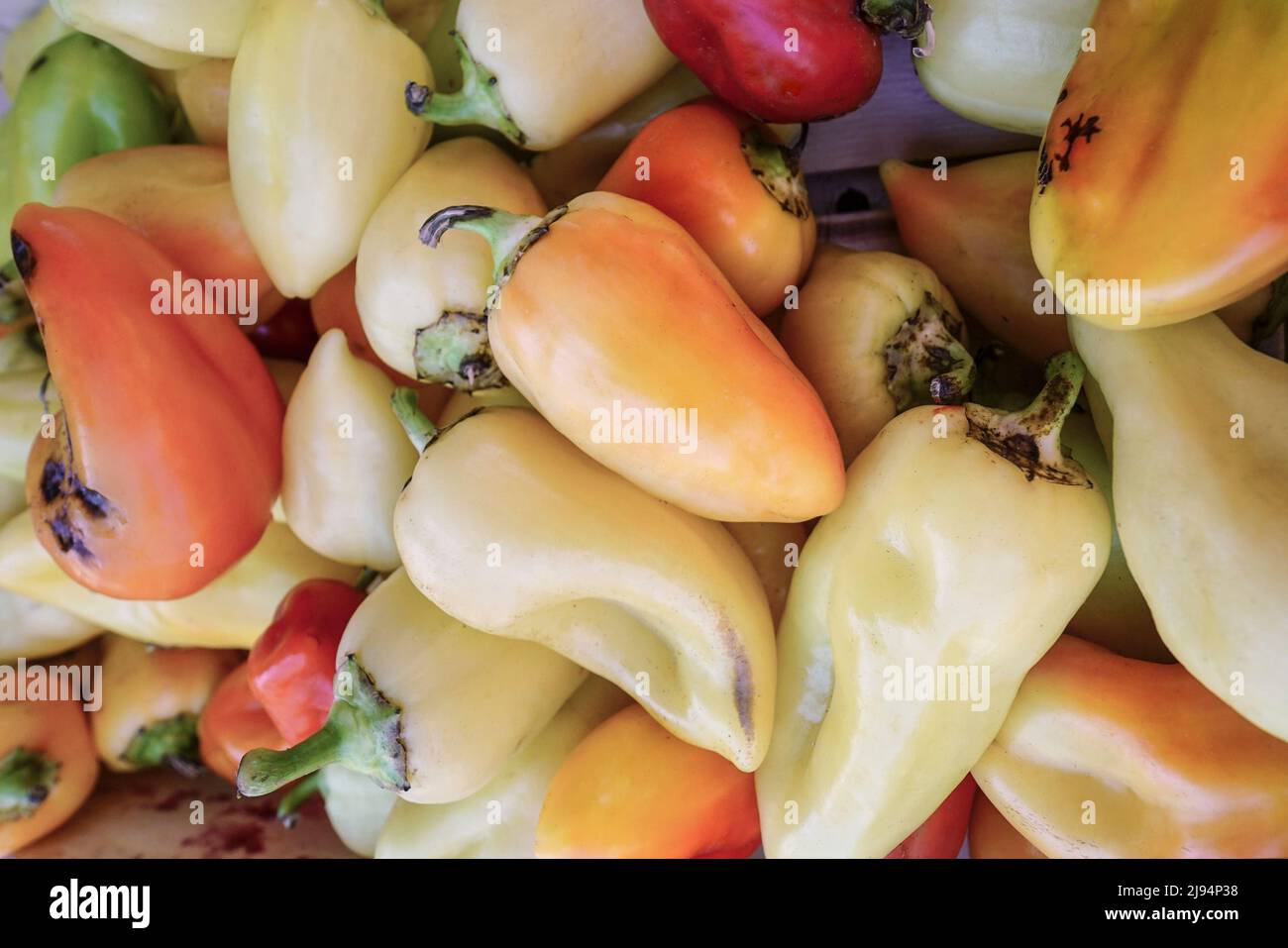 colorful fresh capia peppers as a background Stock Photo - Alamy