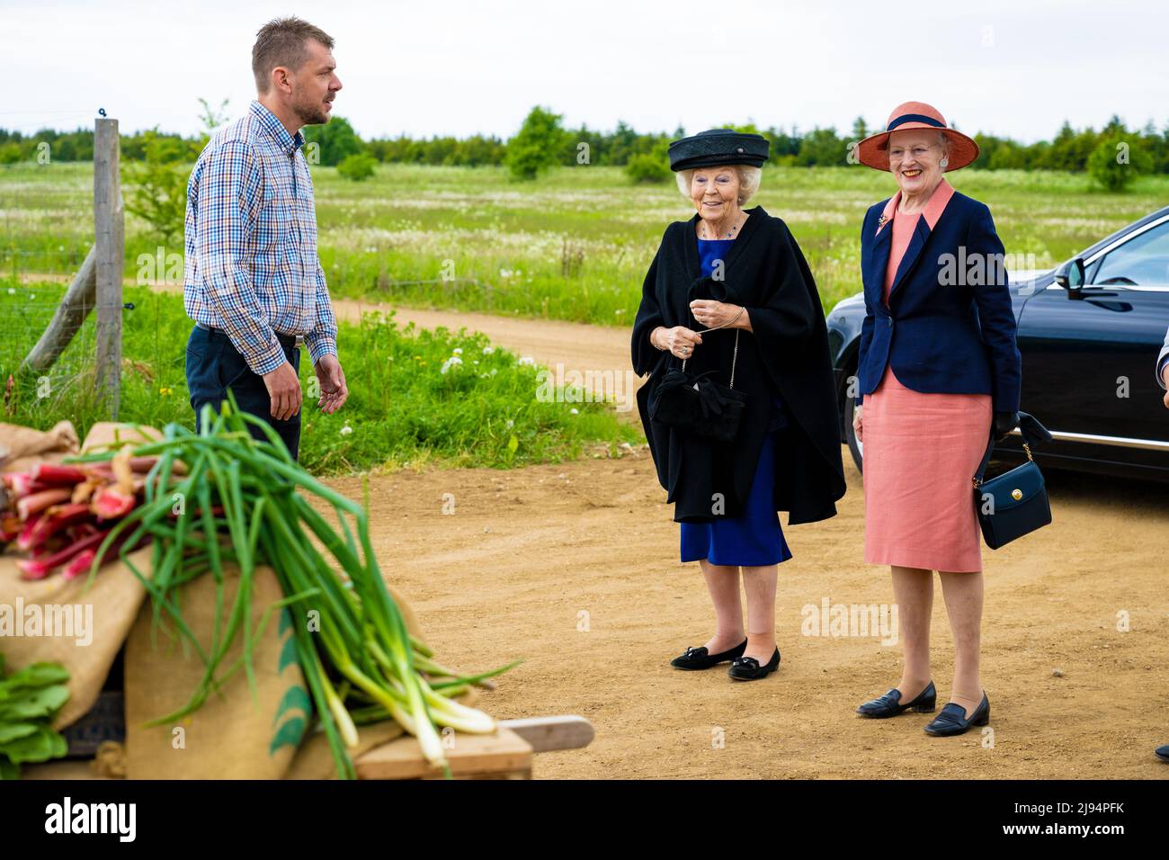 Queen Margrethe of Denmark and Princess Beatrix of the Netherlands ...