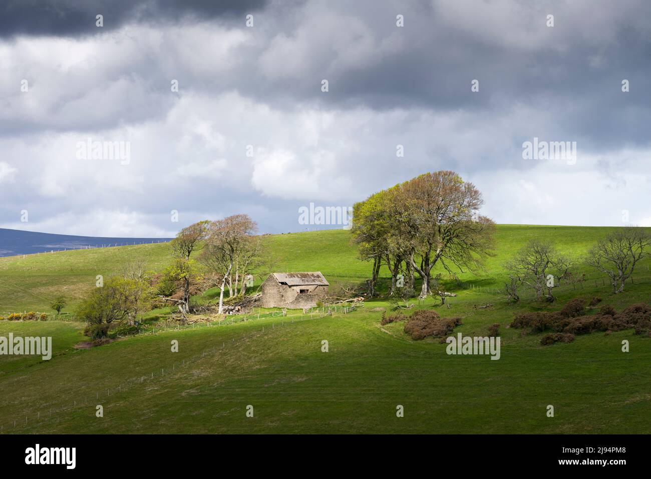 An old barn on Kersham Hill in in the Brendon Hills, Exmoor National ...