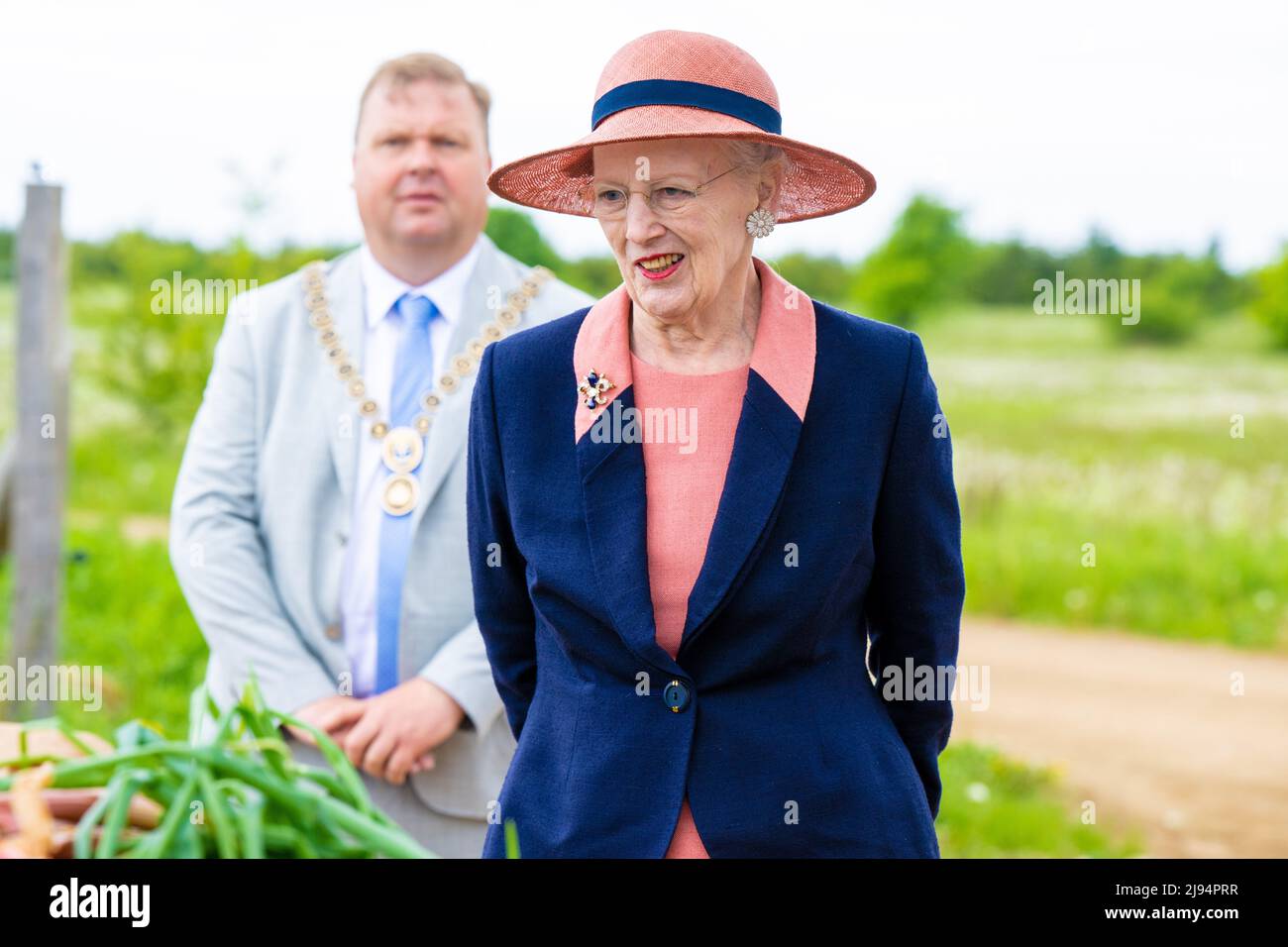 Queen Margrethe of Denmark during a visit to Dragor Cityhall, a ...