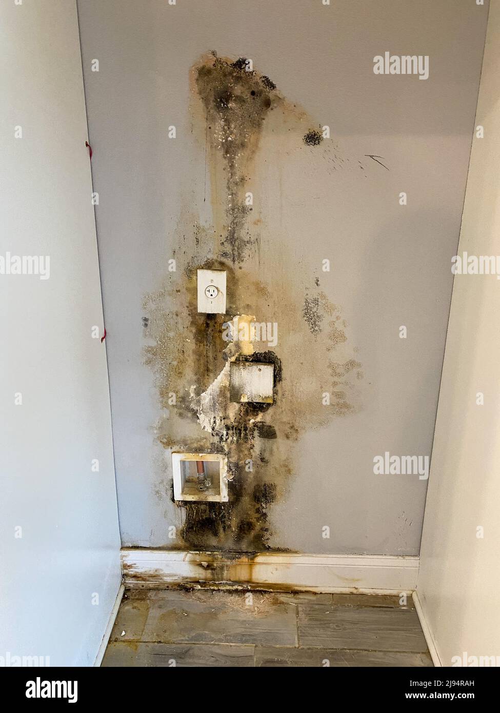 Mold line hi-res stock photography and images - Alamy