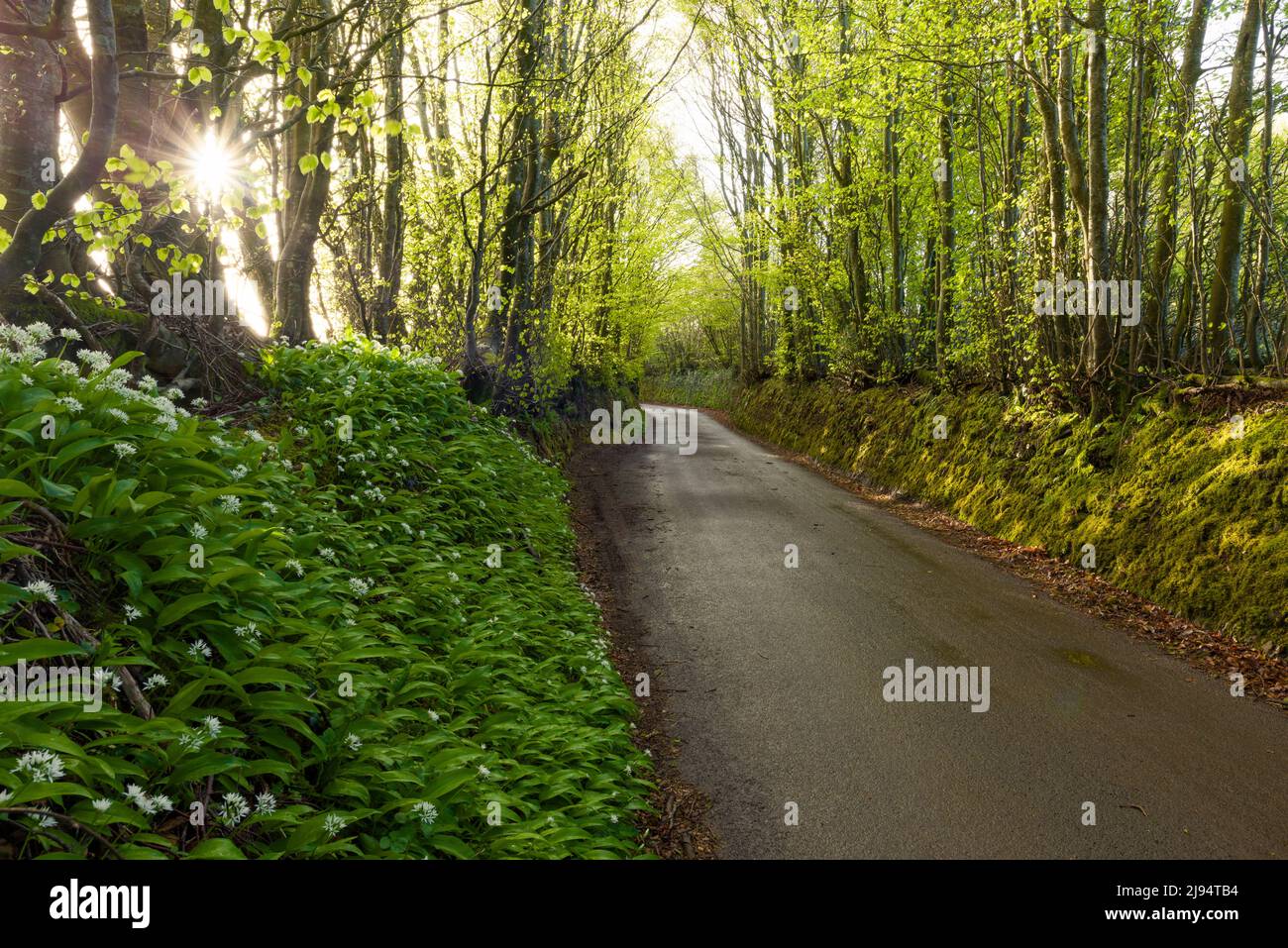 Popery lane hi-res stock photography and images - Alamy