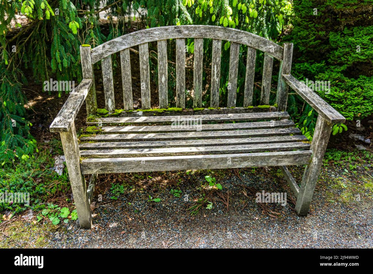 A woodend bench at an arboretum in South Seattle, Washington Stock ...