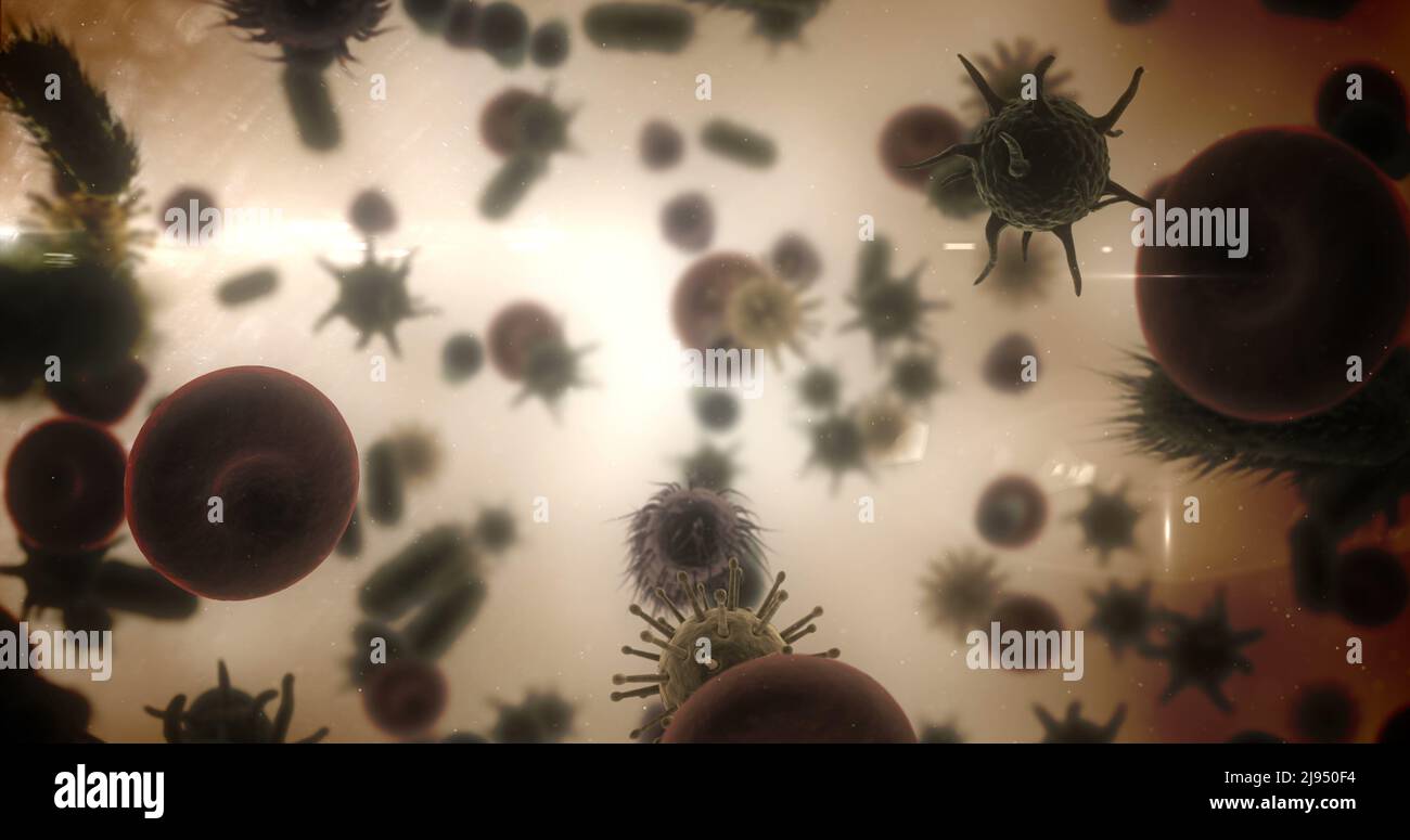 Digitally generated virus cells, red blood cells and bacteria against ...