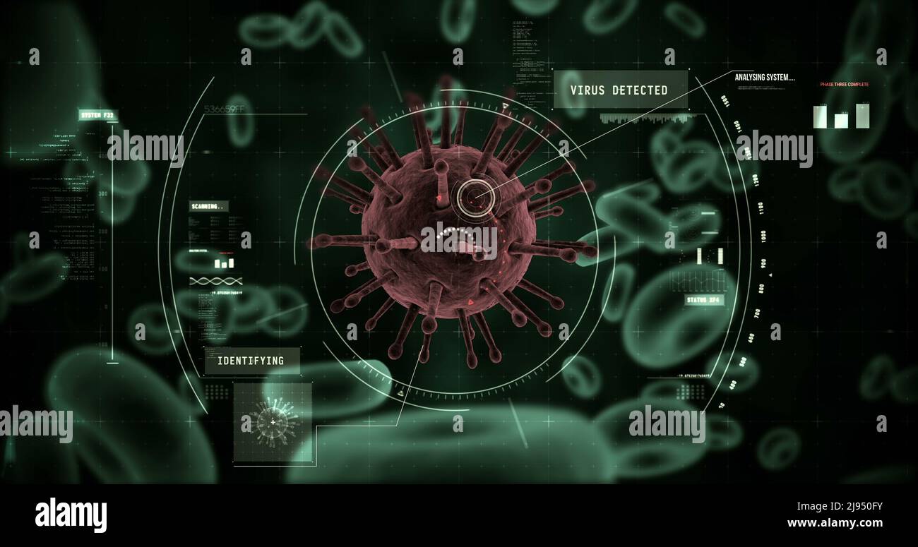 Digitally generated virus cells and red blood cells against black ...
