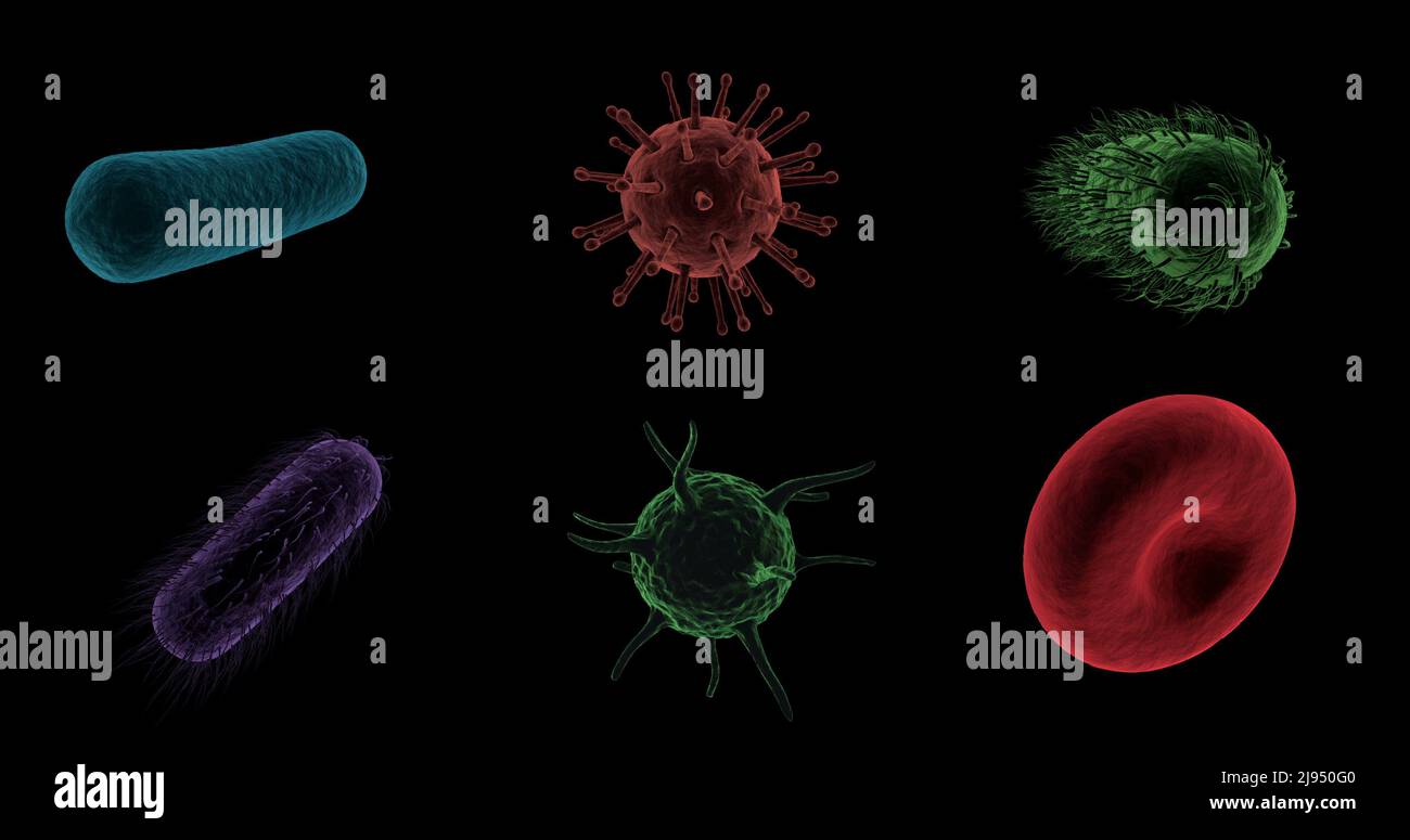 Red blood cell and bacteria hi-res stock photography and images - Alamy