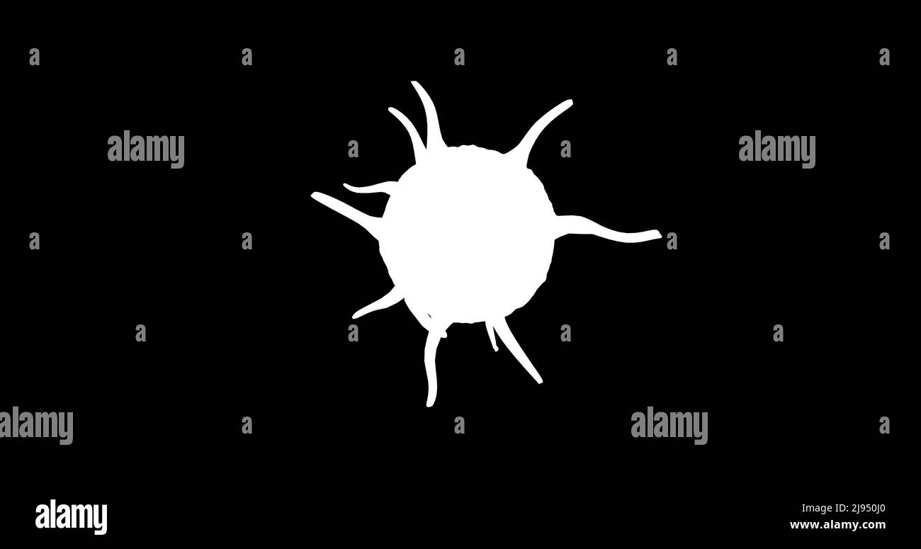 Cells virus Black and White Stock Photos & Images - Alamy