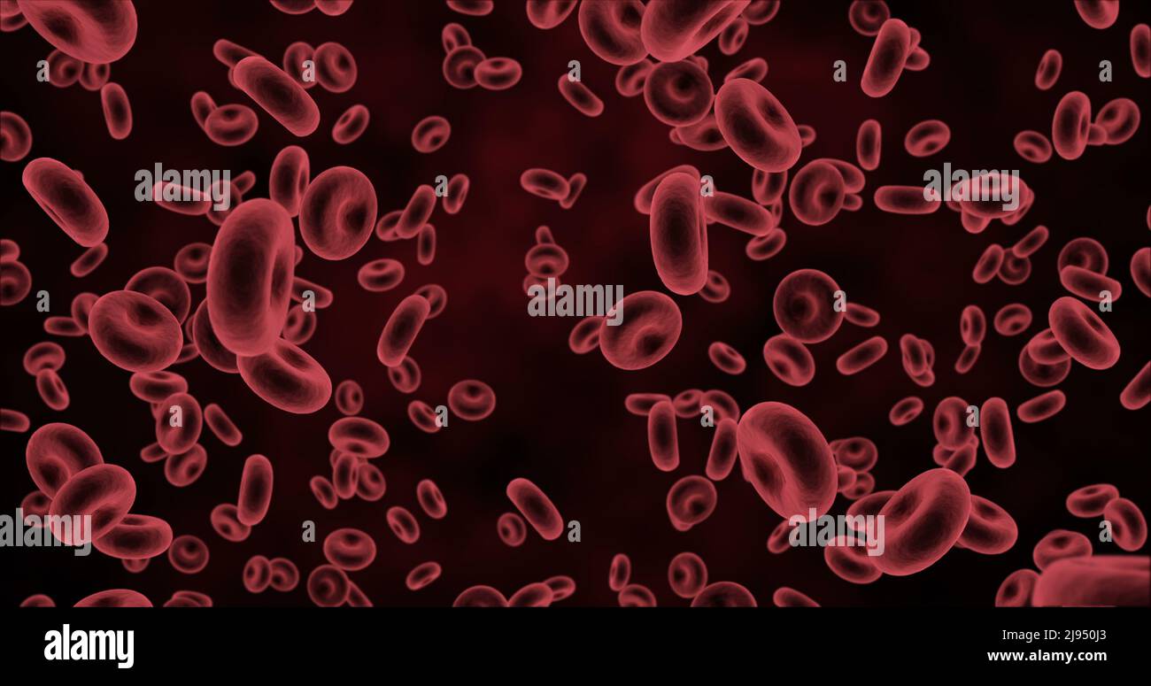 Blood Cells Black Background