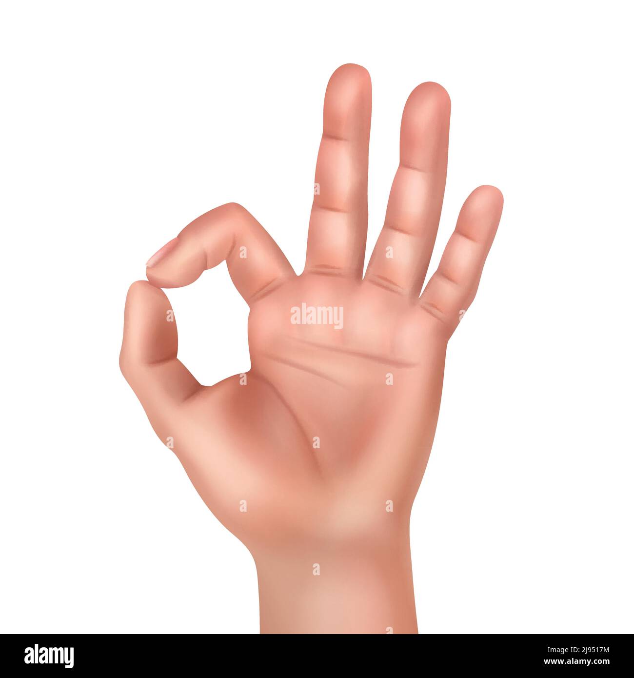 Vector illustration of human hand showing okay sign isolated on white ...