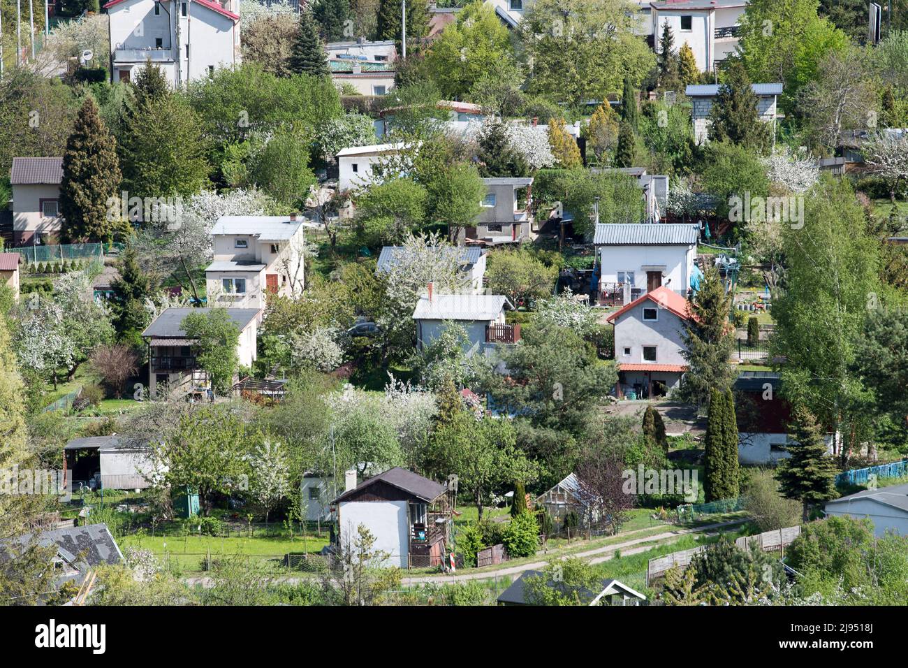 Allotment garden in spring in Gdansk, Poland. May 15th 2022 © Wojciech ...