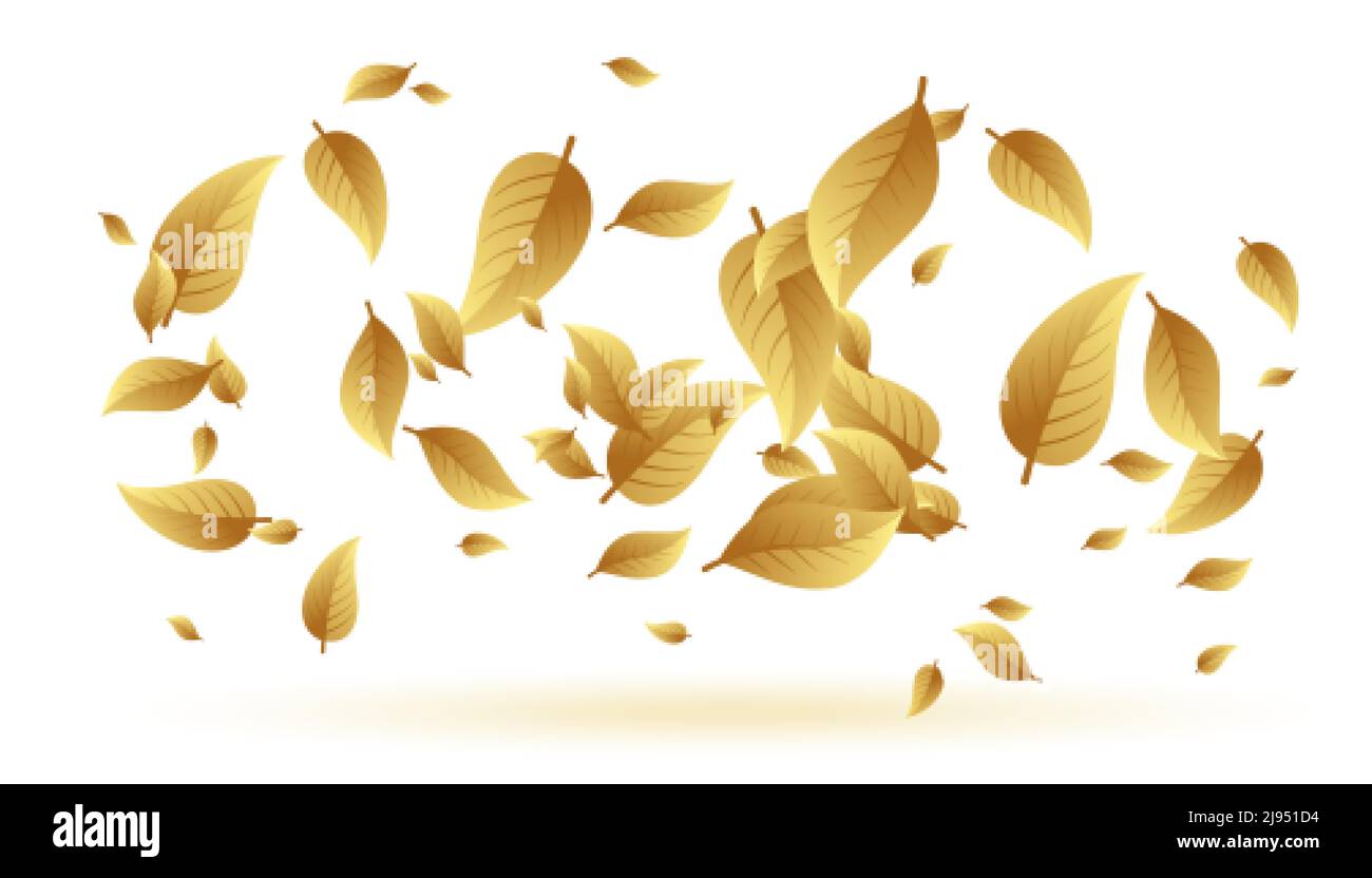 falling or floating leaves background design Stock Vector Image & Art ...