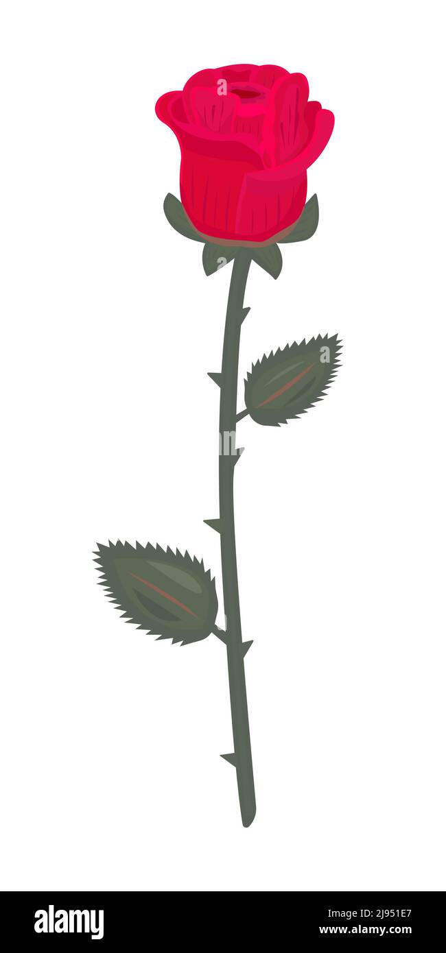 Beautiful rose leaves on Stock Vector Images - Alamy