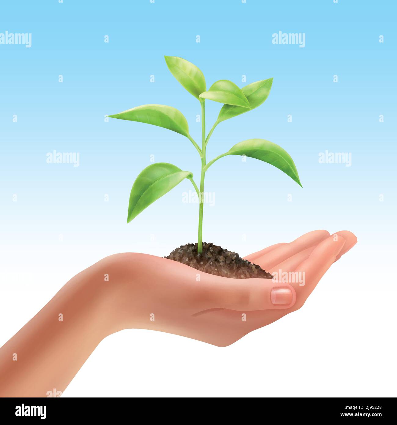 Vector illustration of young fresh plant in human hand isolated on ...