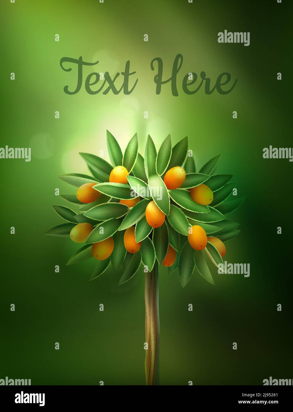 Vector illustration of beautiful citrus tree with space for text ...