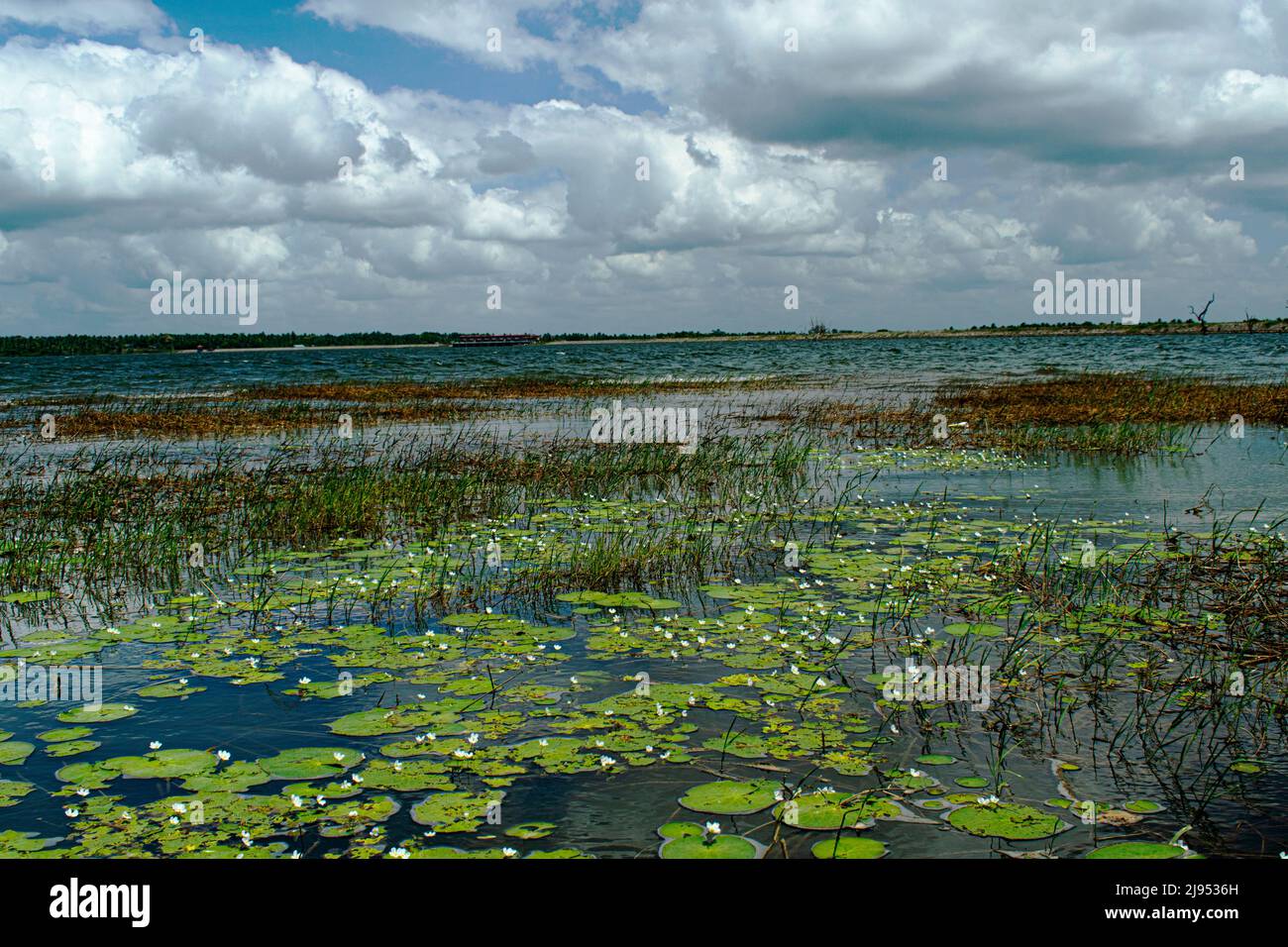 Landscape pictures with water hi-res stock photography and images - Alamy