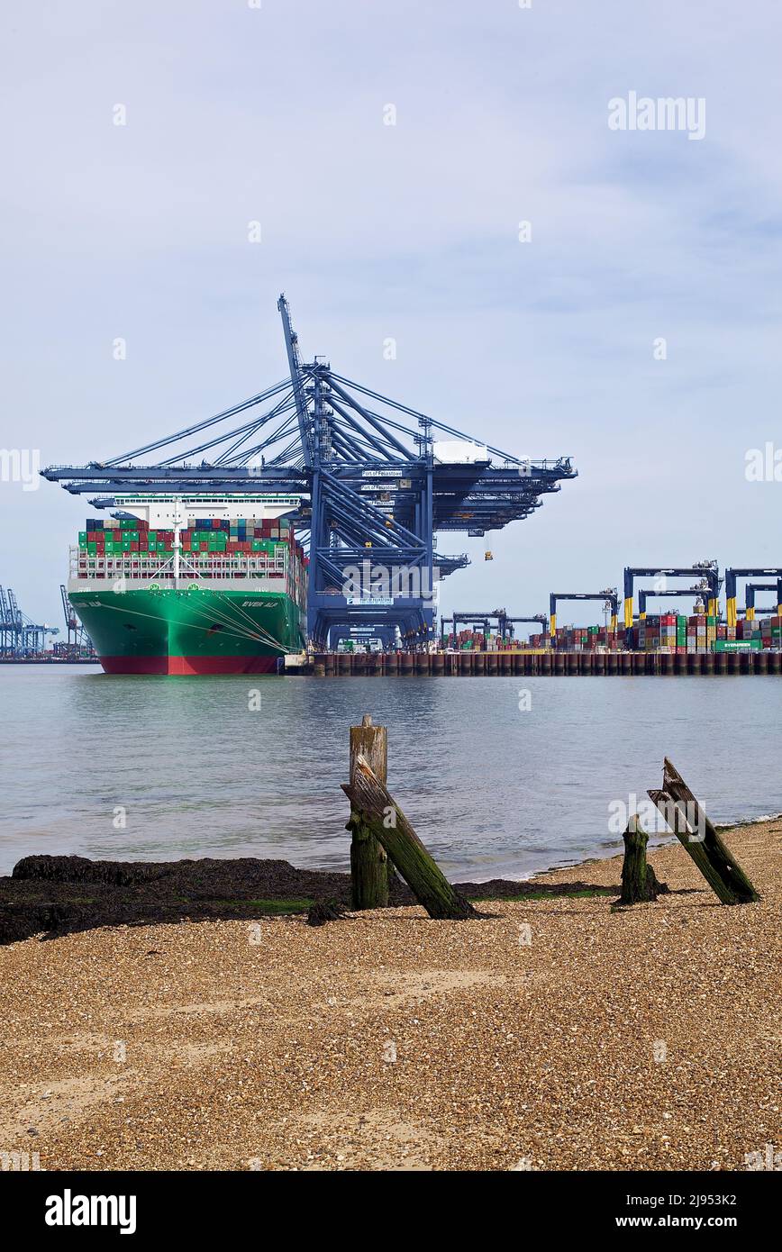 Container ship Ever Alp docked and being loaded/unloaded at the Port of ...