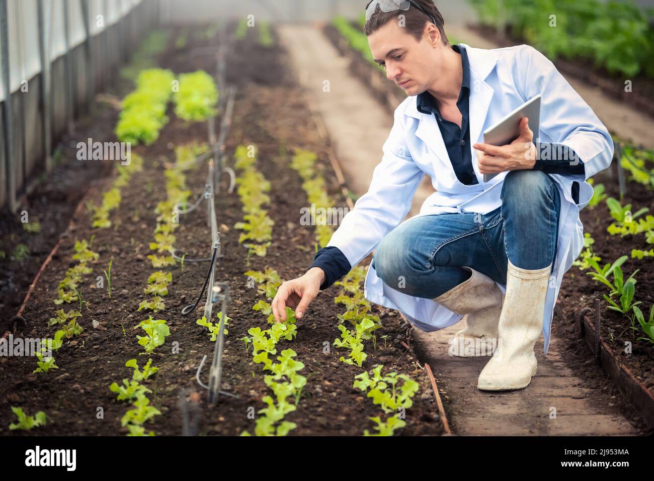 Portrait of handsome agricultural researcher holding tablet while ...