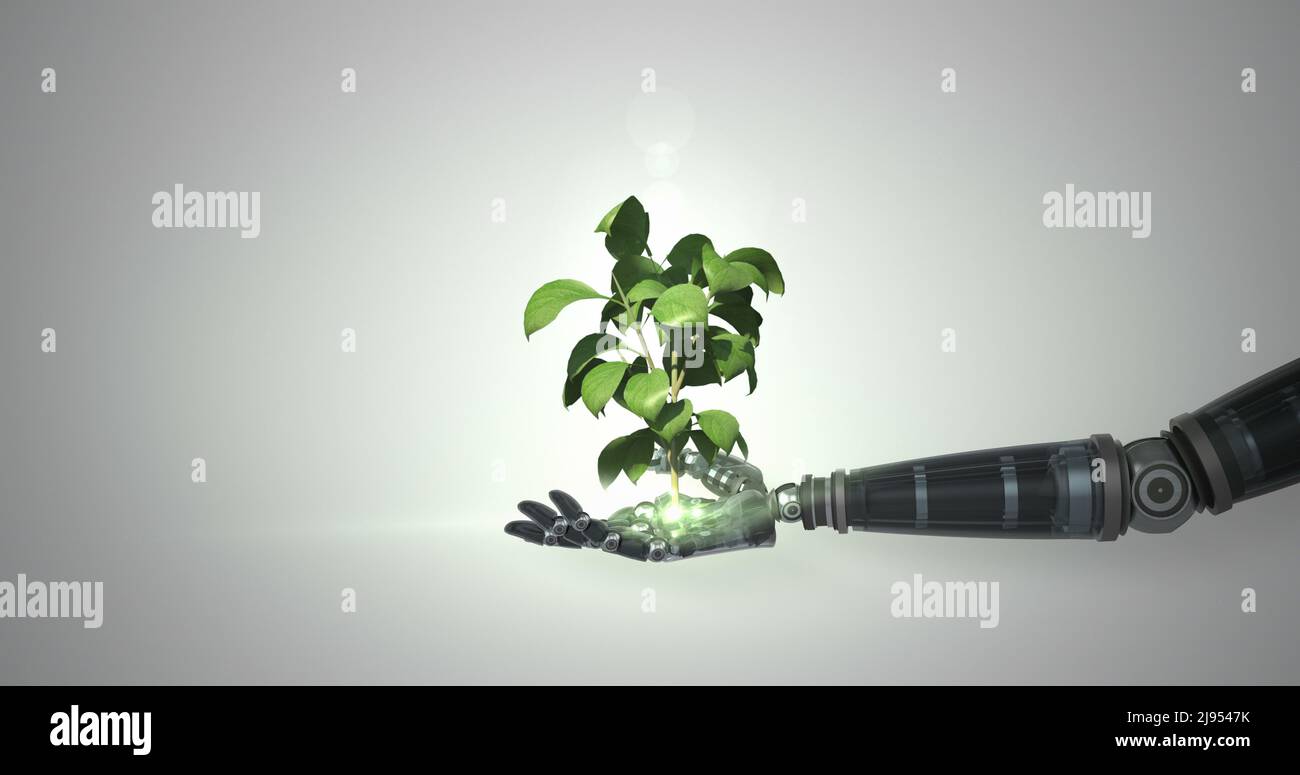 Robotic hand presenting digital green plant growing against white ...