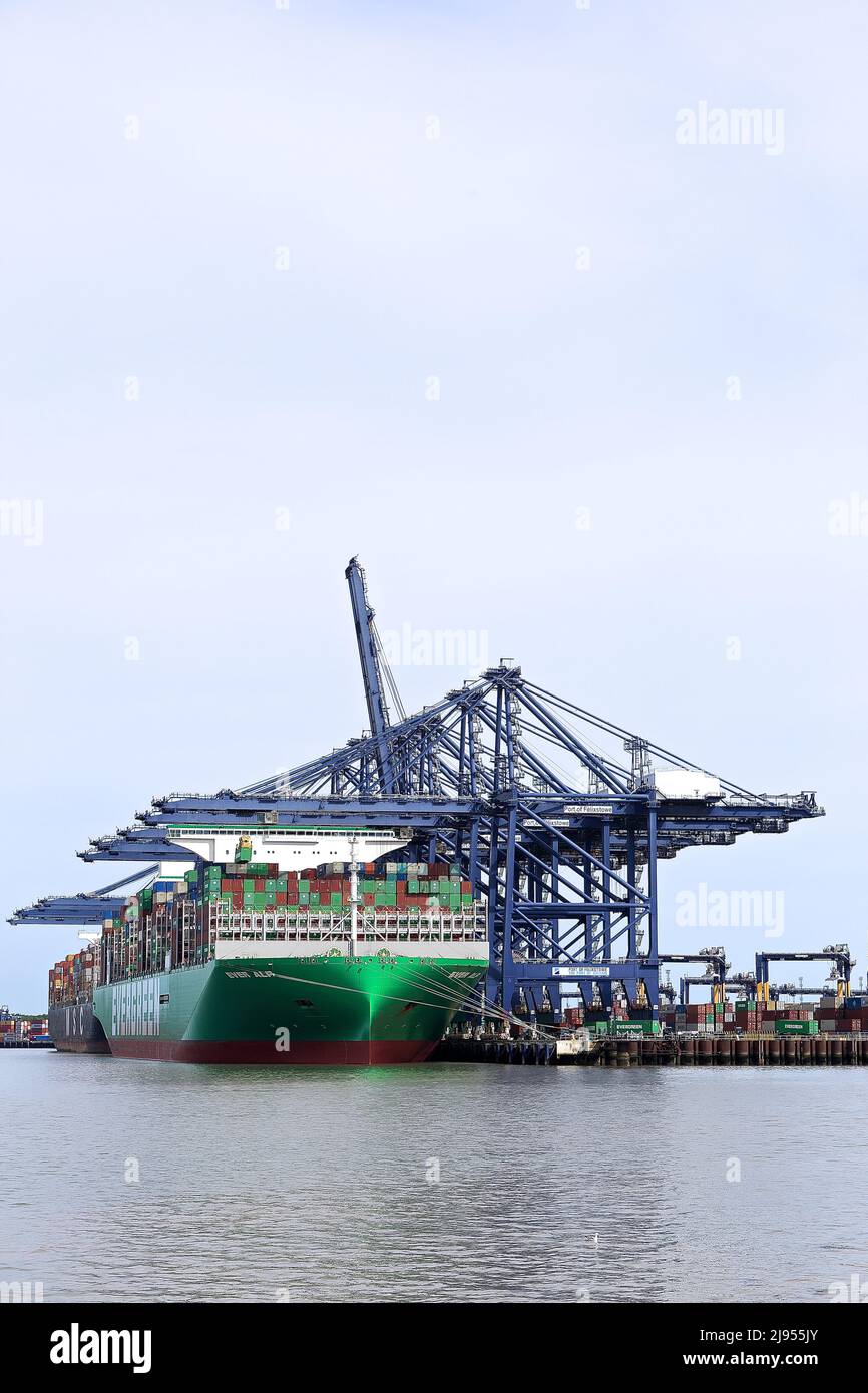 Container ship Ever Alp docked and being loaded/unloaded at the Port of ...