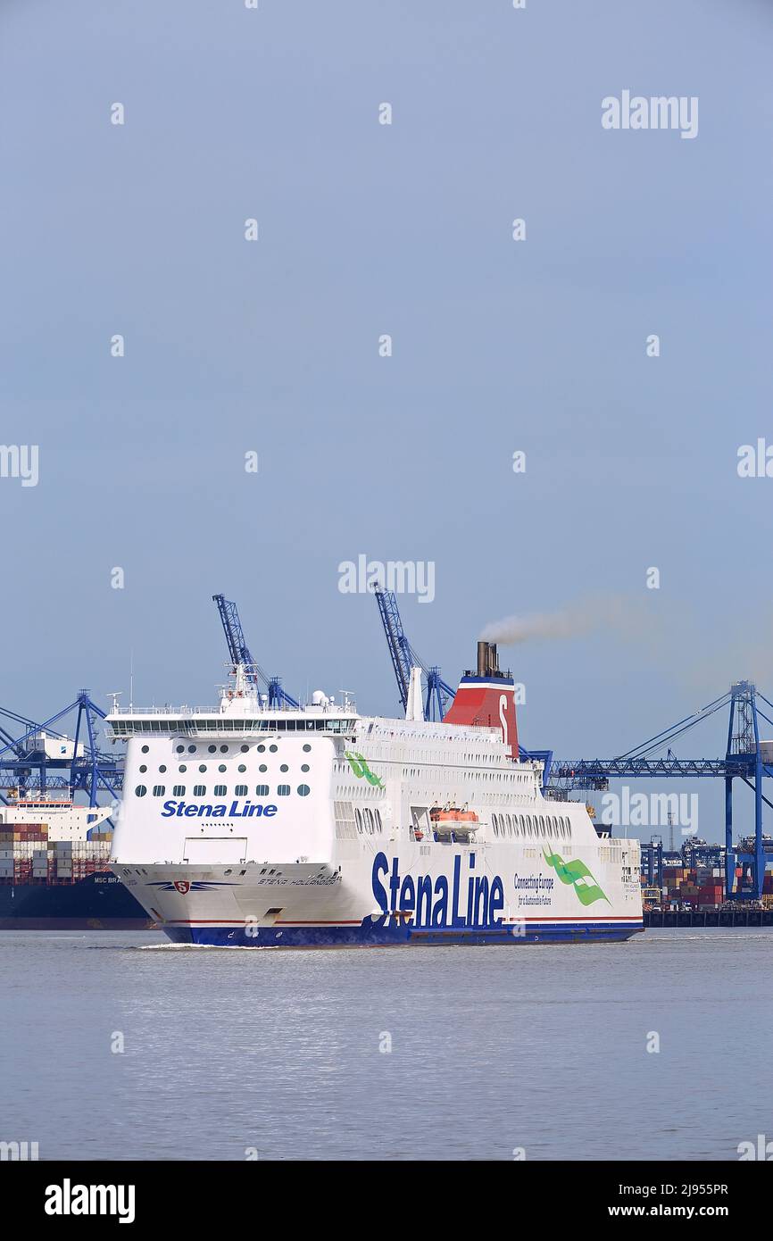 Stena Line ferry Stena Hollandica leaving Harwich Haven Stock Photo - Alamy