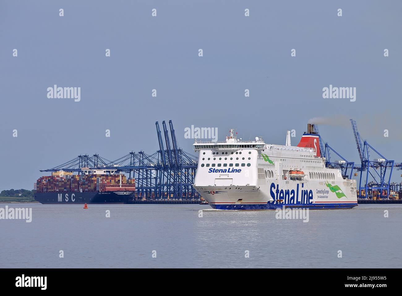 Stena Line ferry Stena Hollandica leaving Harwich Haven with MSC ...