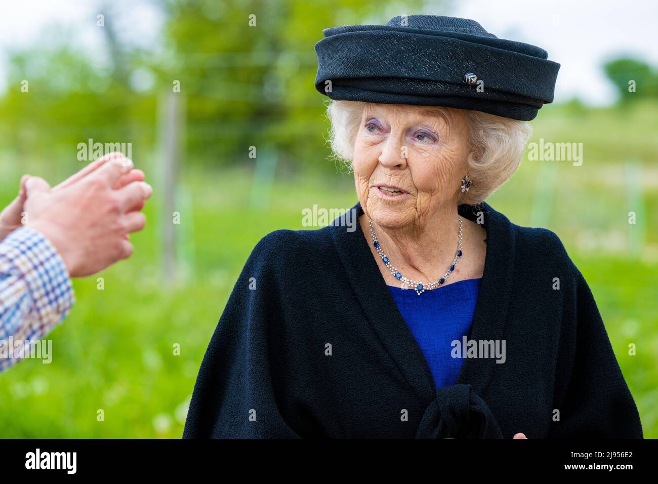 Princess Beatrix of the Netherlands during a visit to Dragor Cityhall ...
