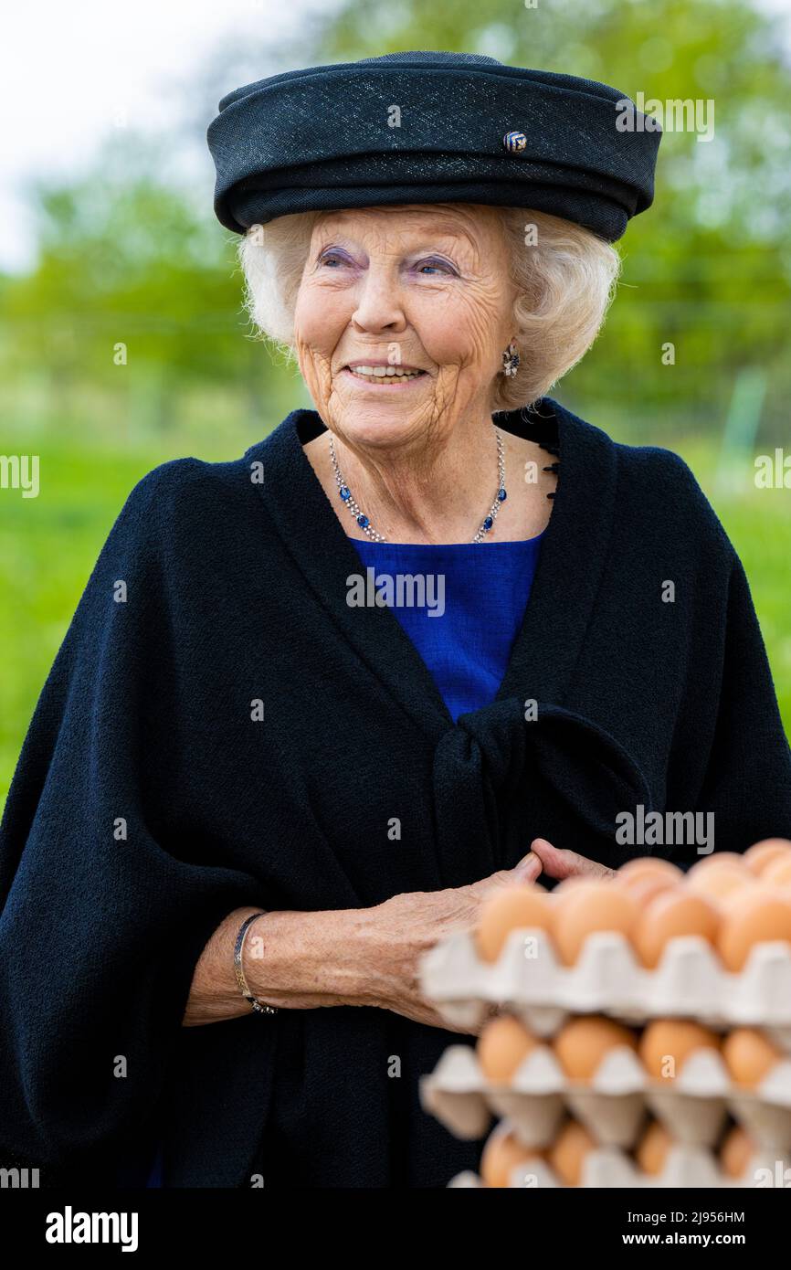 Princess Beatrix of the Netherlands during a visit to Dragor Cityhall ...