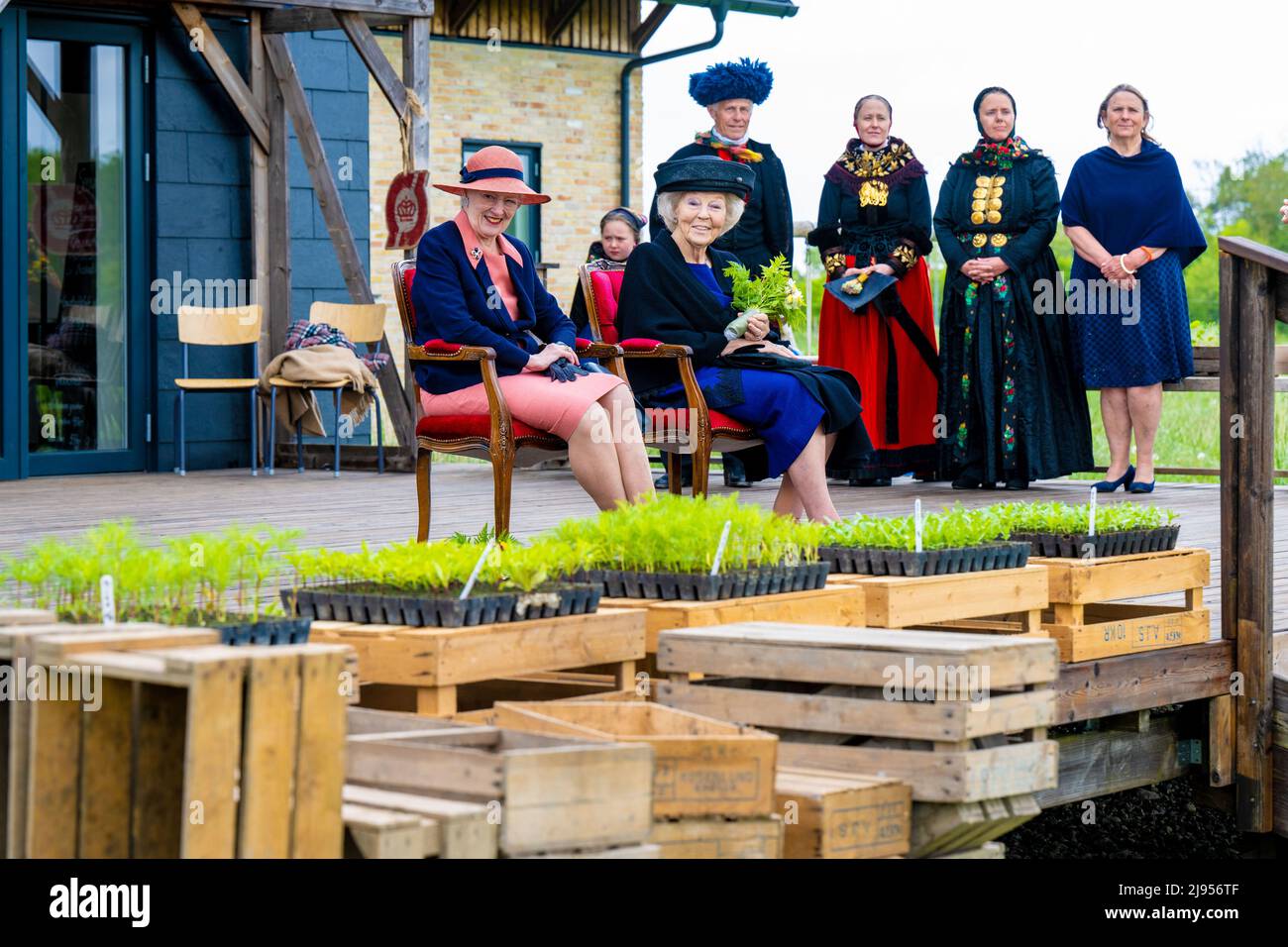Queen Margrethe of Denmark and Princess Beatrix of the Netherlands ...