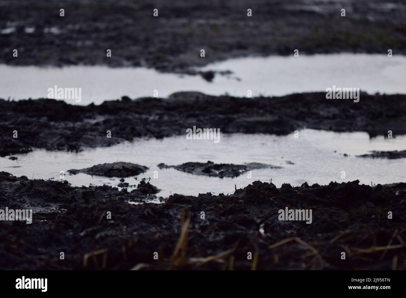 Big puddle hi-res stock photography and images - Alamy