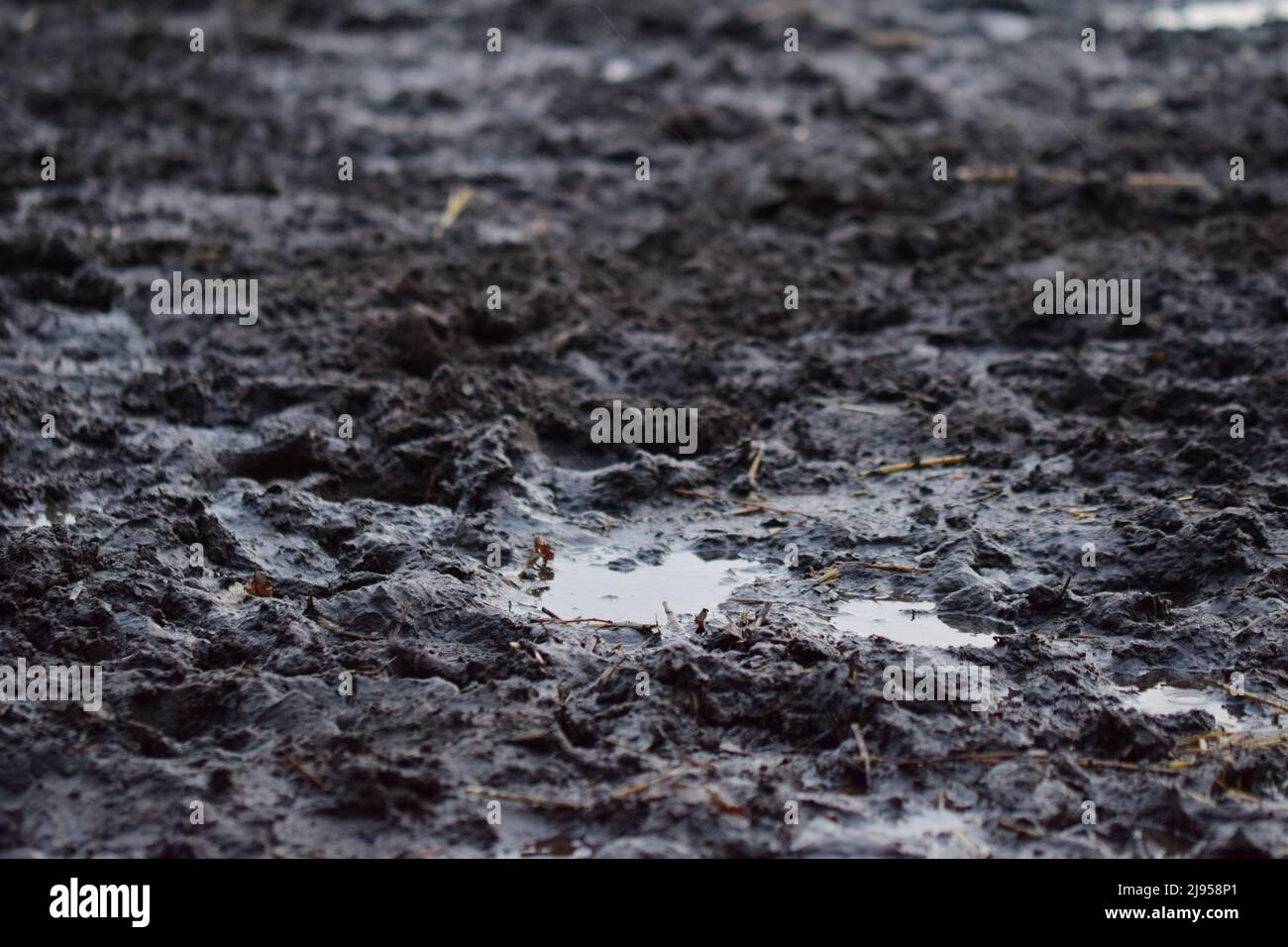 Small puddle hi-res stock photography and images - Alamy