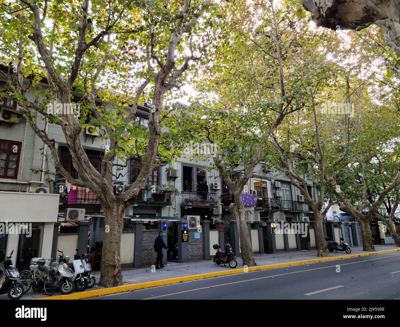 Exploring the Former French Concession in Shanghai on a sunny afternoon ...