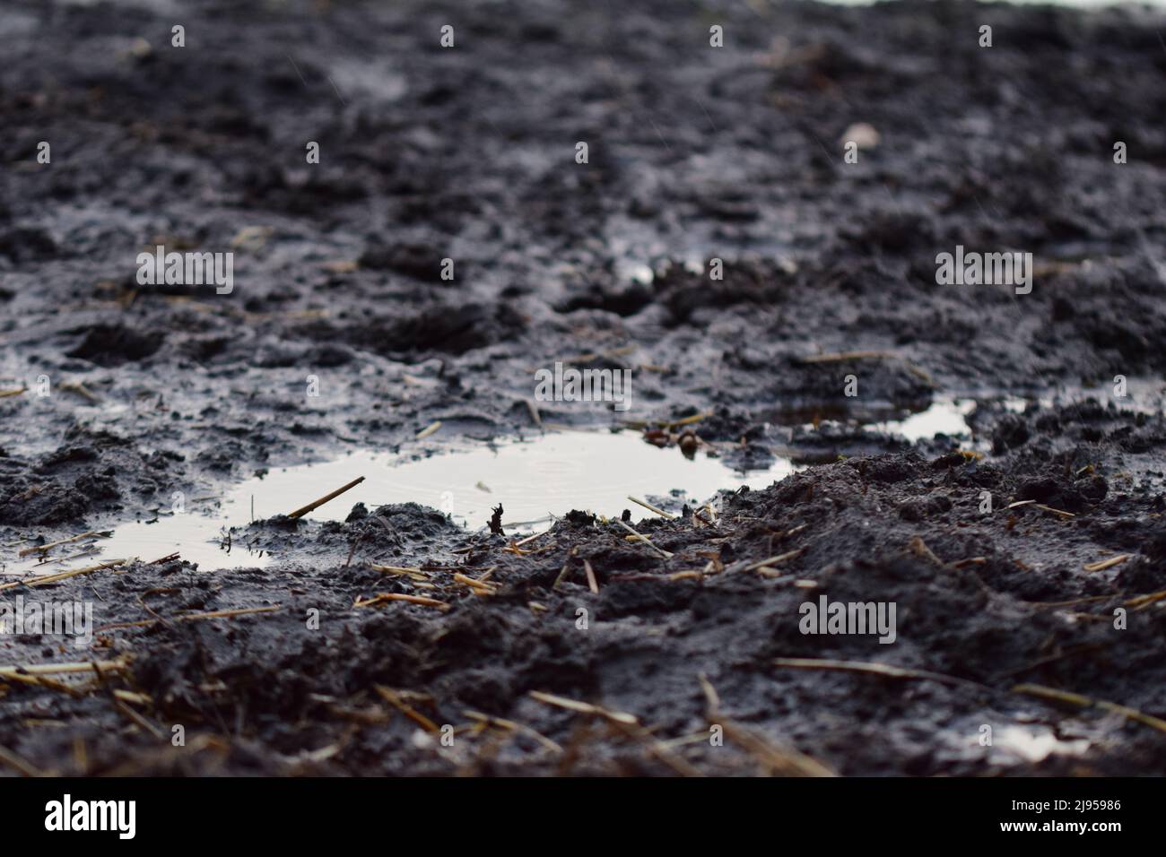 Close up puddle on ground hi-res stock photography and images - Alamy