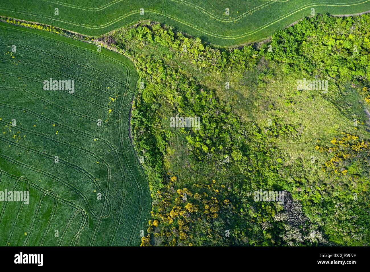 Hills aerial view hi-res stock photography and images - Alamy