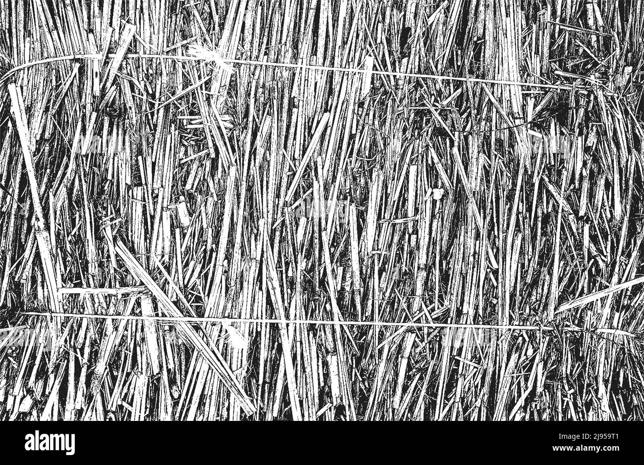 Distressed overlay grass stem texture on the ground. grunge black and ...