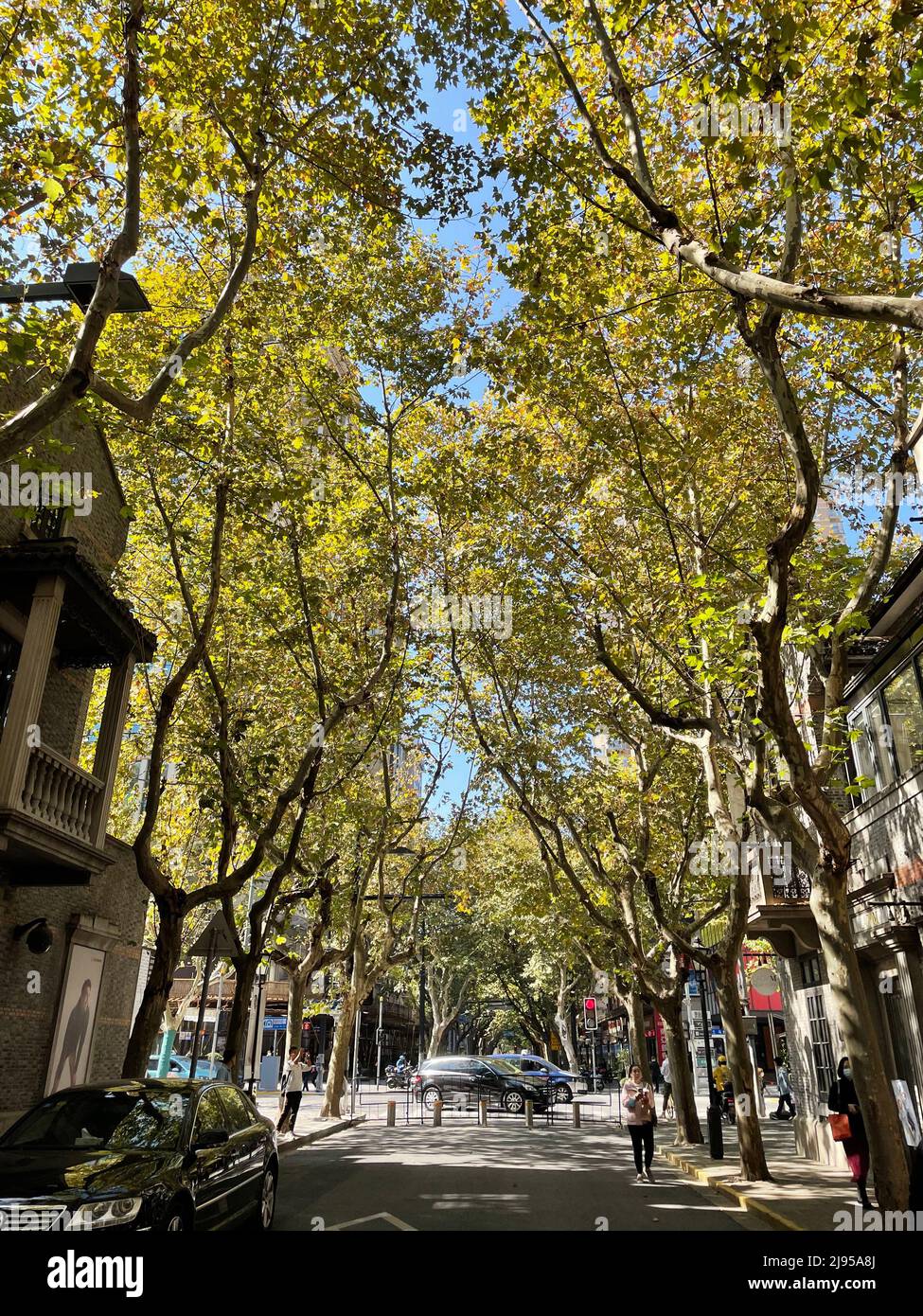 Exploring the Former French Concession in Shanghai Stock Photo - Alamy